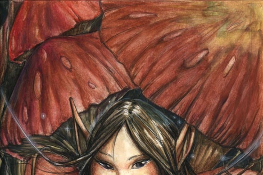 El ilustrador Fernando Molinari se presenta en Río Grande - DESDE LAS BASES